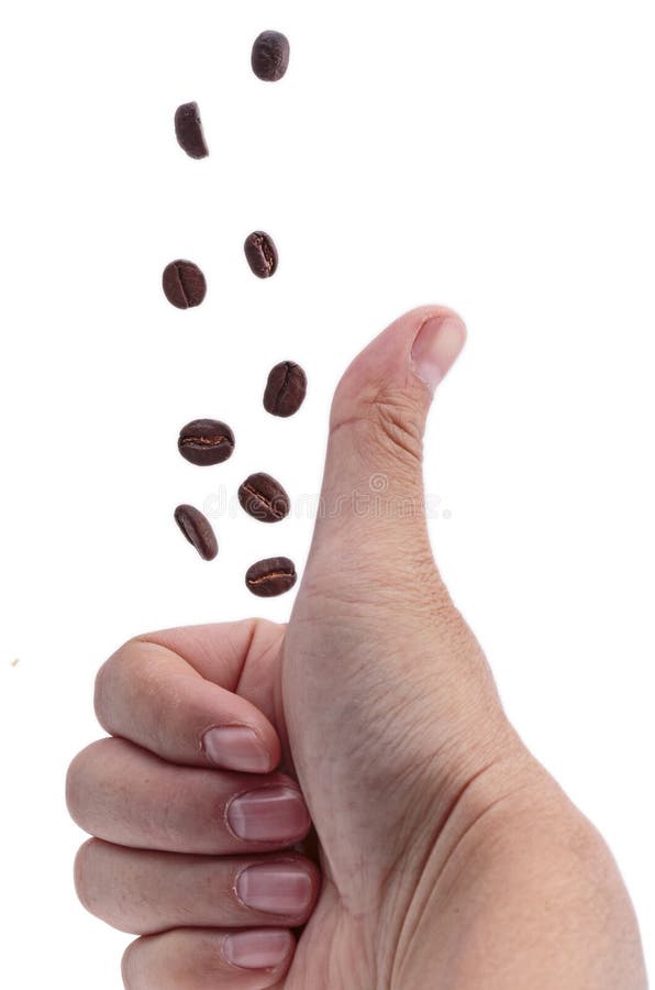 Coffee Beans Fall in the Hands of Isolated on White. Stock Photo ...