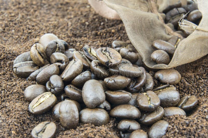 Coffee Beans Fallen from the Bag Stock Image - Image of caffeine ...