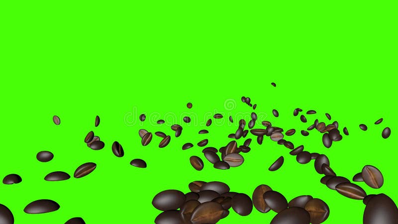 Coffee Beans Falling 3d Animation , Green Screen Chroma Key Stock ...