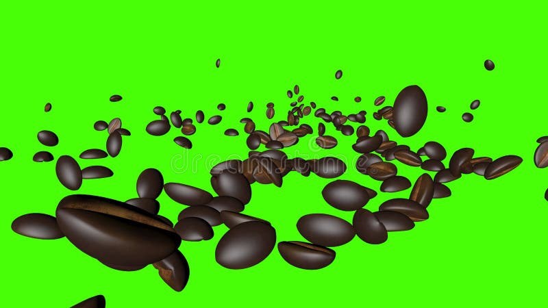Coffee Beans Falling 3d Animation , Green Screen Chroma Key Stock Video ...