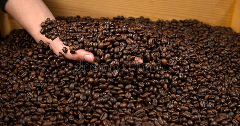 Coffee Beans Falling into Hand Stock Image - Image of falling, motion ...