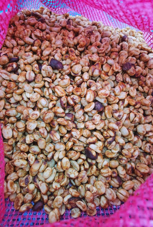 Coffee Beans,in the Ferment and Wash Method Stock Photo - Image of ...