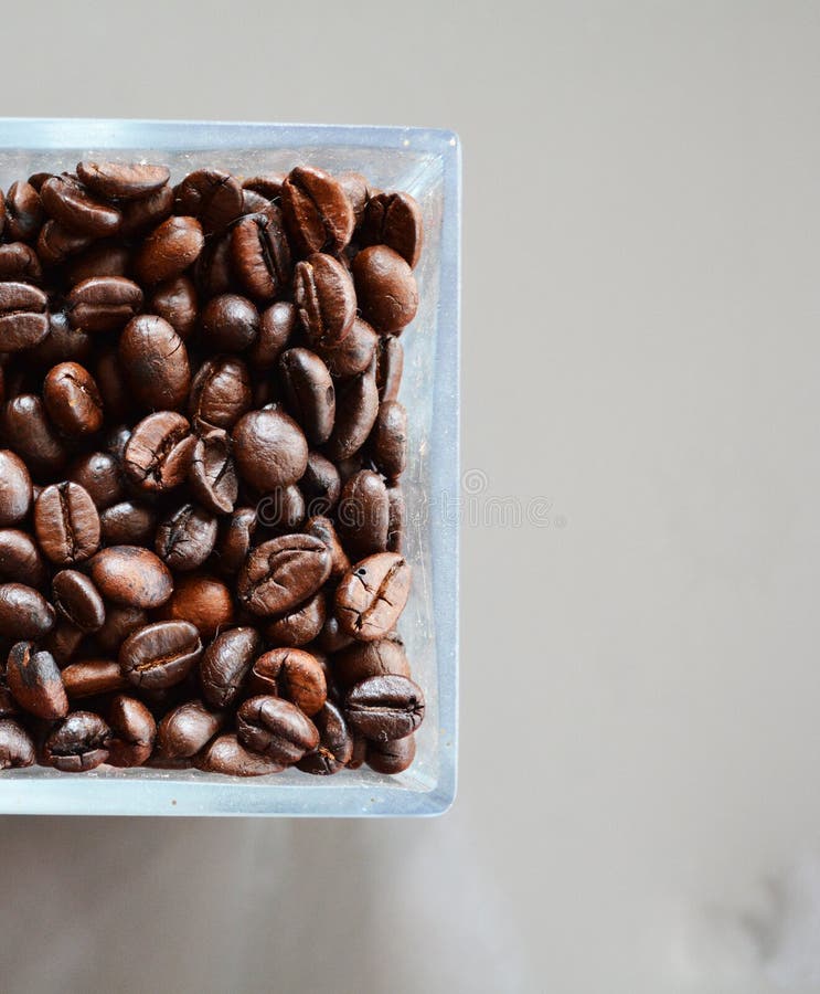 Coffee beans glass stock image. Image of fabric, roast - 48180475