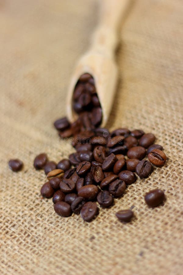 Coffee beans stock photo. Image of strong, nature, sacking - 60798394