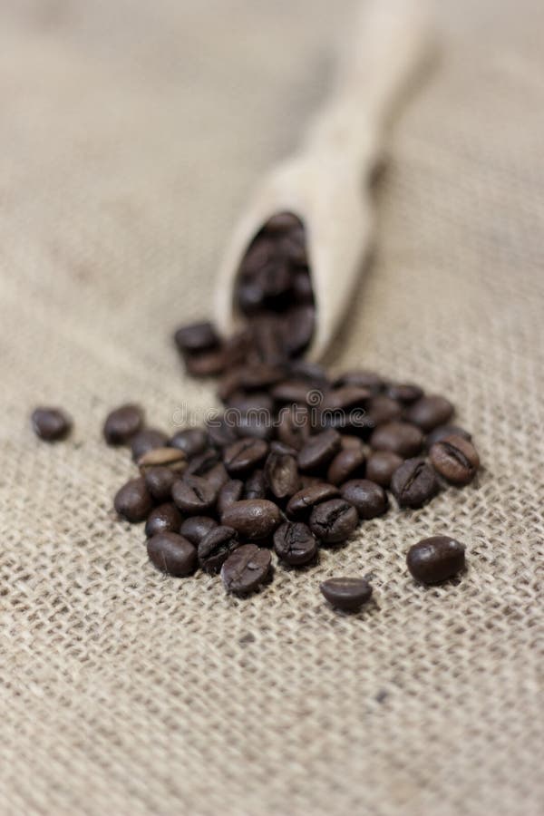 Coffee beans stock photo. Image of texture, fabric, energy - 60798430