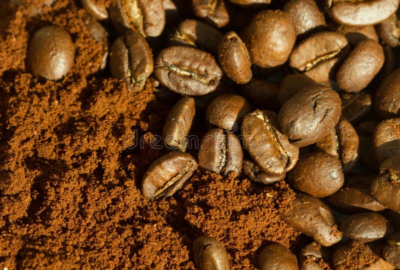 Coffee Beans and Ground Coffee Stock Photo - Image of fresh, horizontal ...