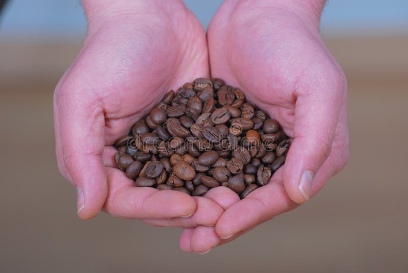 Coffee Beans in the Hand stock image. Image of closeup - 51678819