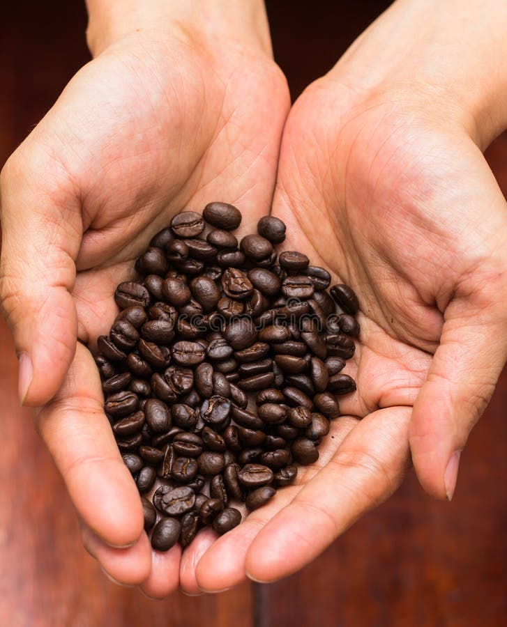 Coffee beans in hands stock image. Image of hands, cafe - 30044733