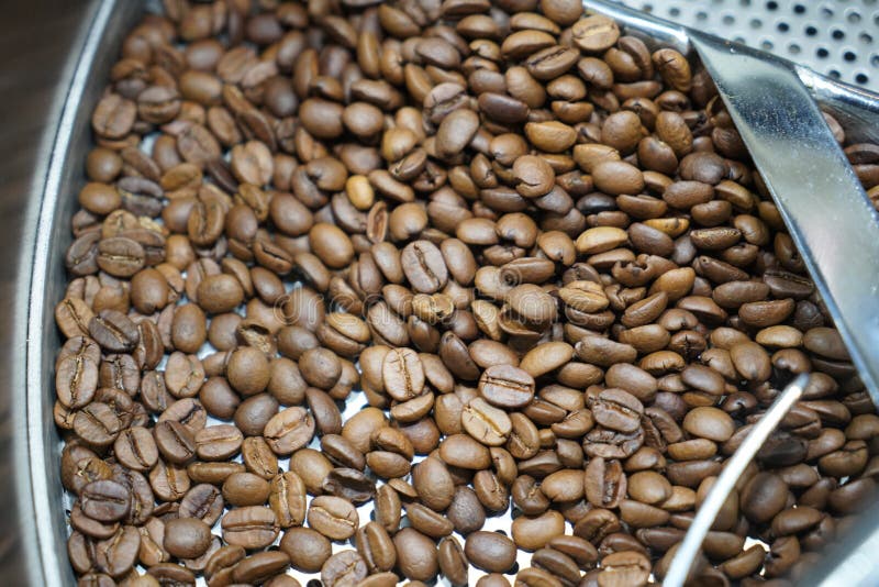 Coffee Beans Inside Coffee Maker Stock Photo - Image of breakfast ...