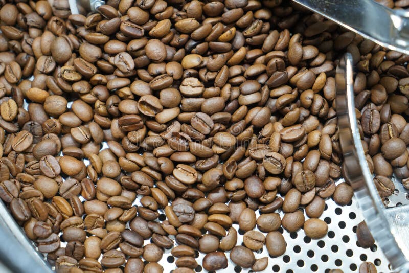 Coffee Beans Inside Coffee Maker Stock Image - Image of fresh, aromatic ...