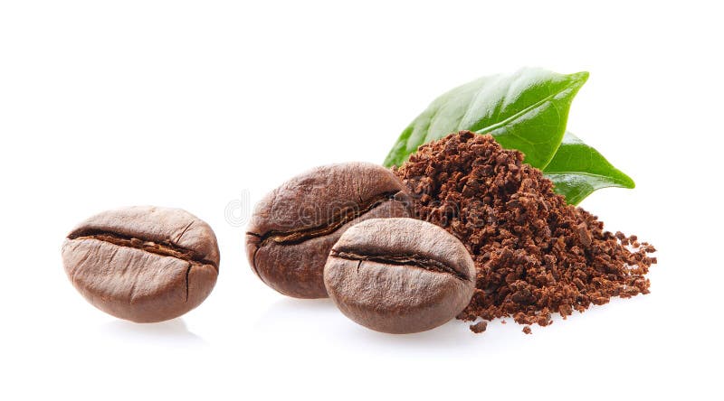 Coffee Beans with Leaf in Closeup on White Stock Image - Image of ...