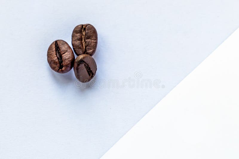 Coffee Beans on a Light Background. Roasted Coffee Bean Stock Image ...