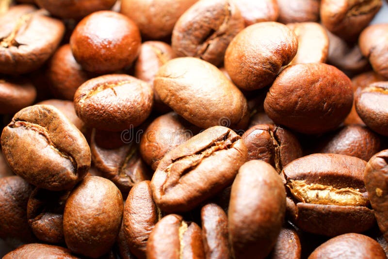 Coffee Beans Macro for Fun and Pleasure Stock Image - Image of fresh ...