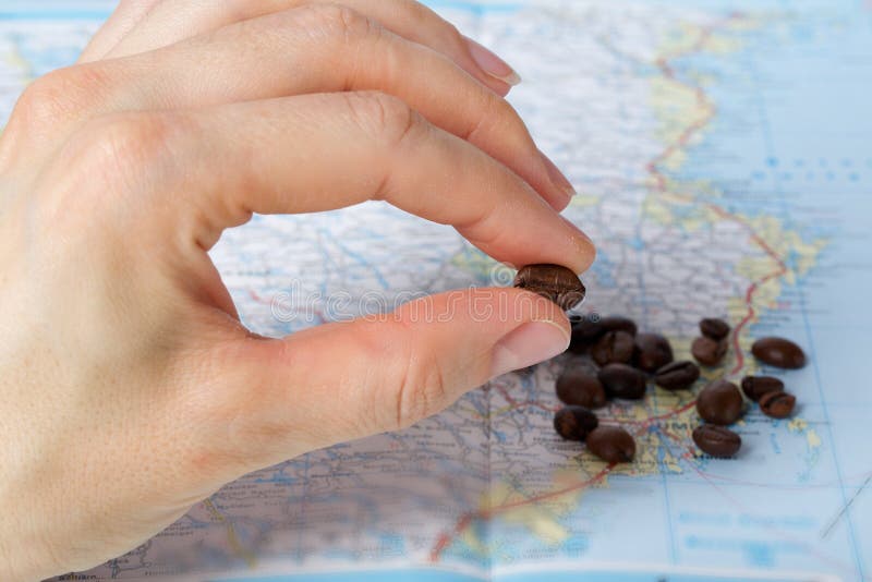 Coffee beans on a map. stock image. Image of agriculture - 117950283