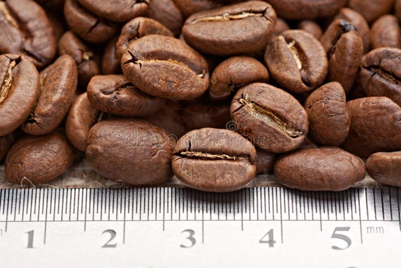 Beans on scale stock image. Image of weighting, cook - 22716215