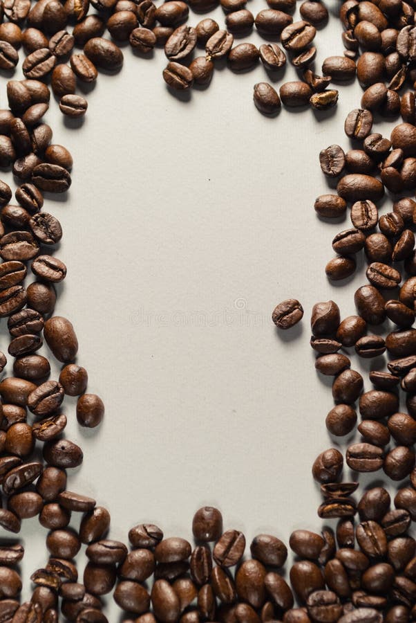 Coffee Beans on Neutral Gray Background. Dark Roast Coffee. Stock Photo ...