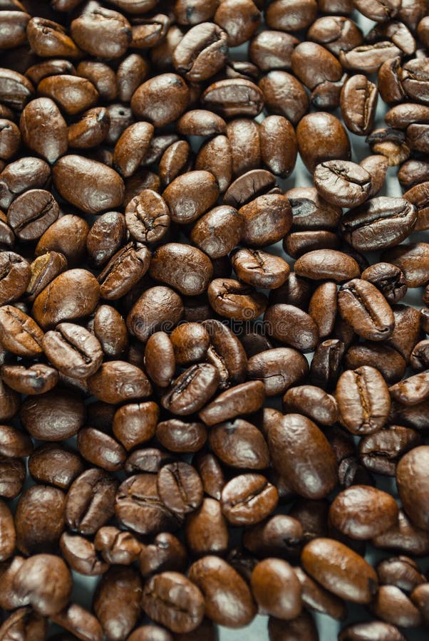 Coffee Beans on Neutral Gray Background. Dark Roast Coffee. Stock Image ...