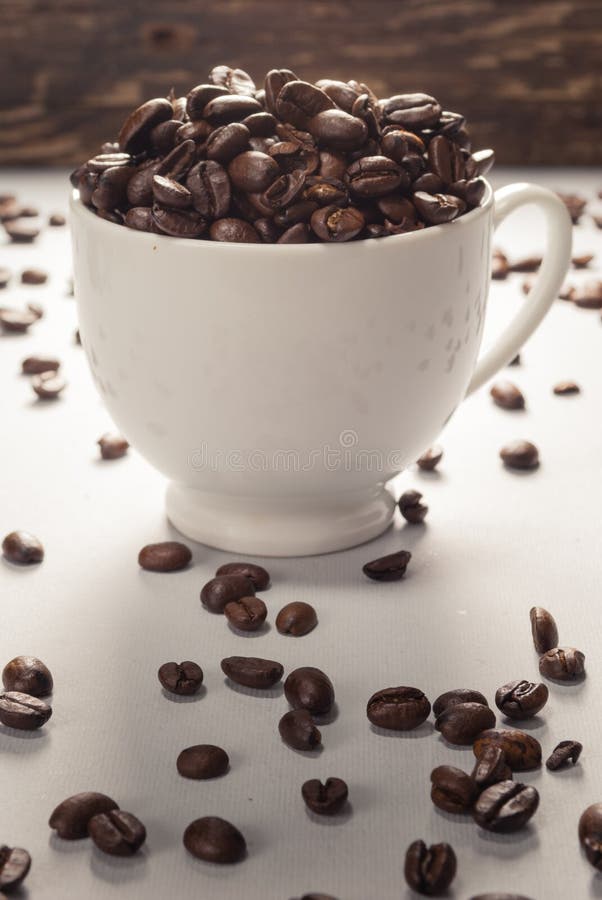 Coffee Beans on Neutral Gray Background. Dark Roast Coffee. White Stock ...