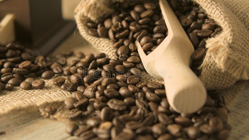 Coffee beans stock image. Image of aromatic, closeup - 260480419