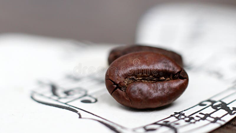 Coffee Beans and Paper Notes, Macro Stock Photo - Image of caffeine ...