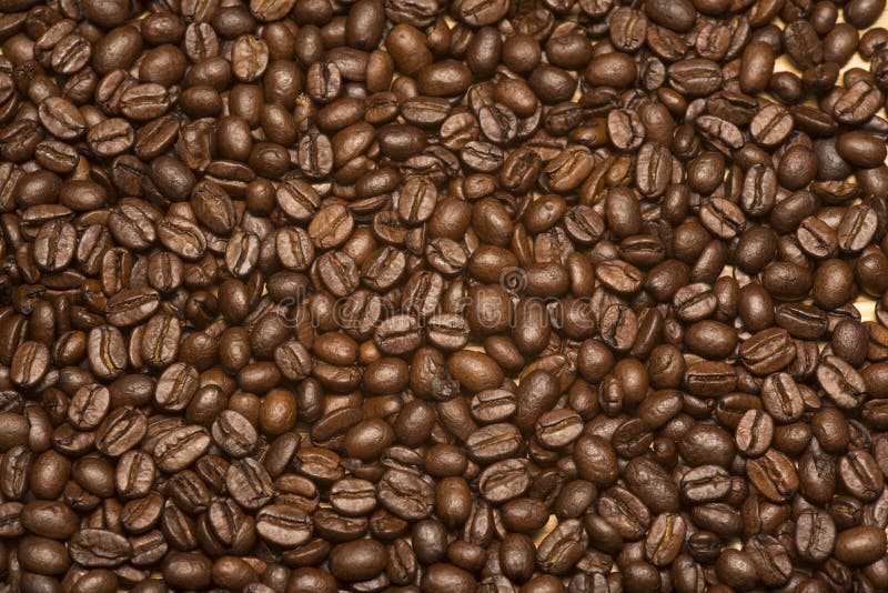 Coffee Beans Shot from Birds Eye View Stock Image - Image of espresso ...