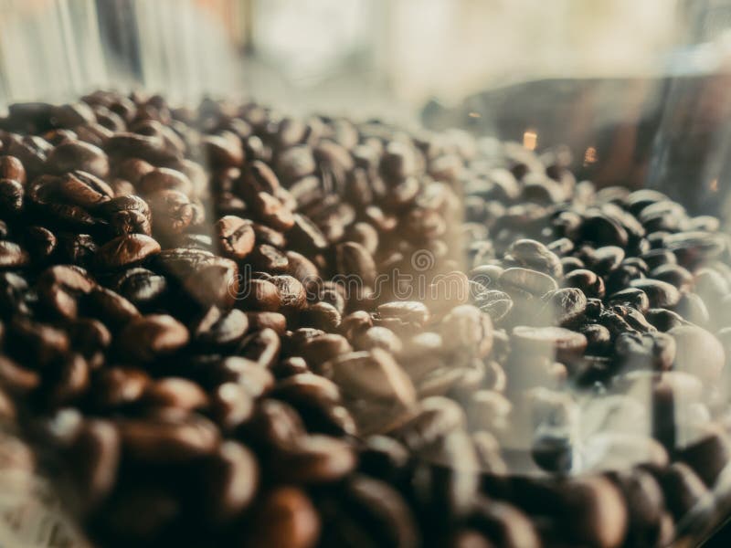 Coffee Beans in Plastic Container. Stock Image - Image of grain ...