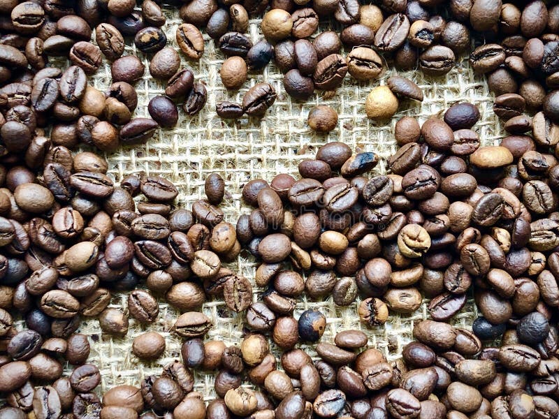 Coffee Beans Production Process Stock Photo - Image of brazil, design ...