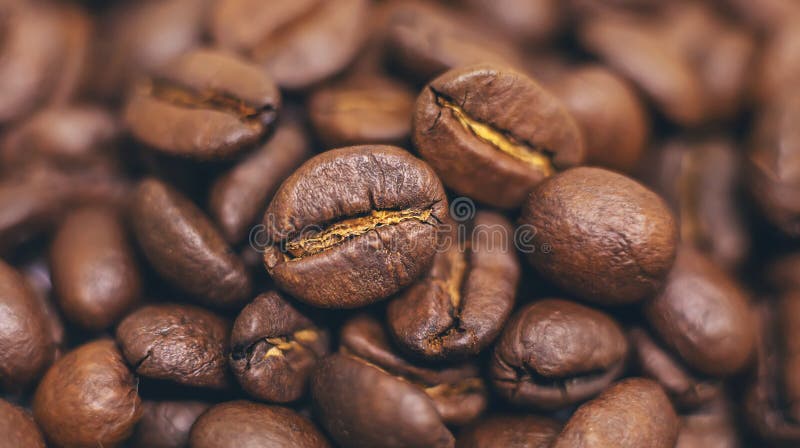 A cup of coffee. Drink. stock photo. Image of light - 108945780