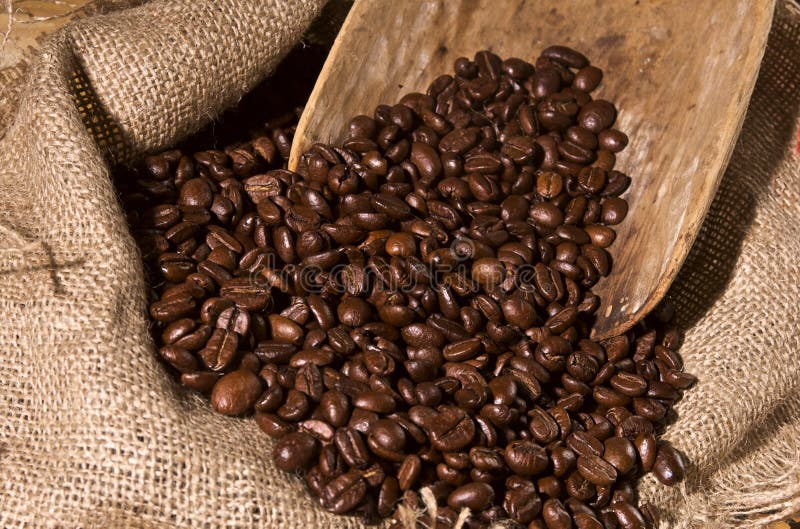 Coffee-beans In Sack Picture. Image: 5780828