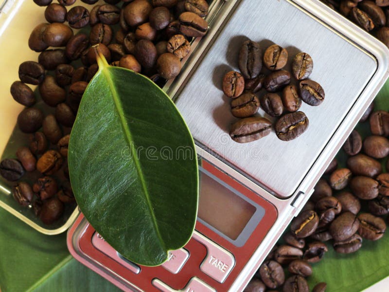 247 Bean Scales Stock Photos - Free & Royalty-Free Stock Photos from ...