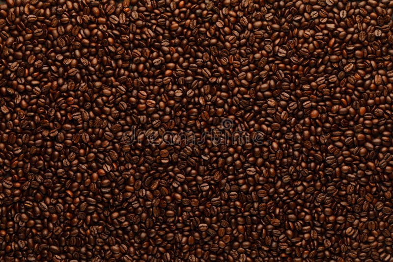 Coffee Beans Seamless Pattern Stock Photo - Image of grain, seed: 245190538