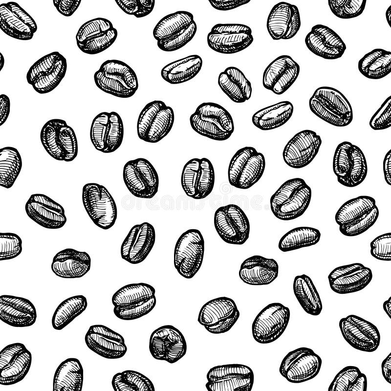 Coffee beans pattern stock vector. Illustration of fashioned - 104616393