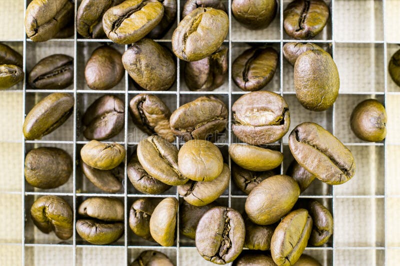 Coffee beans stock image. Image of bean, closeup, farm - 50200283