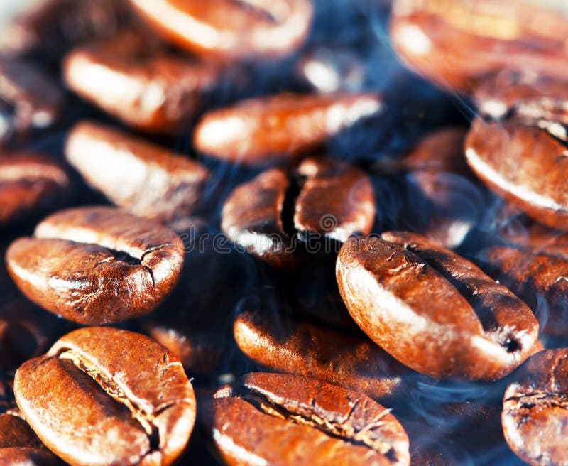 Coffee beans with smoke. stock photo. Image of coffe - 31260036