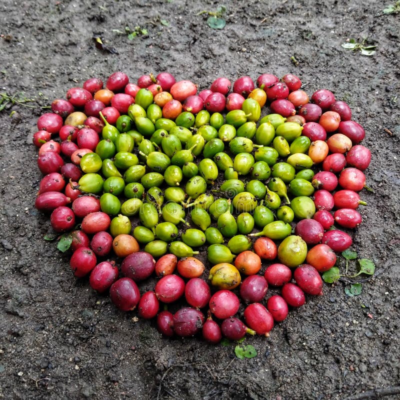 Coffee source stock image. Image of drink, cafe, espresso - 4780099