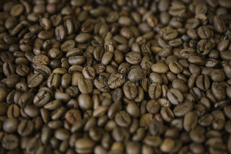 Coffee Beans. Coffee Beans are Spread Out on the Surface. Stock Photo ...