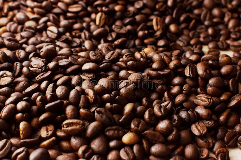 Coffee Beans are Spread Out on the Surface. the Coffee Beans are Brown ...