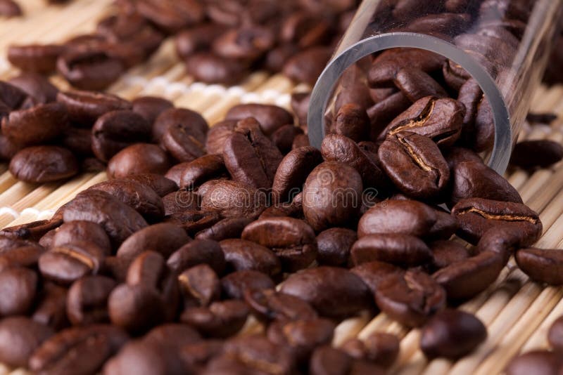 Coffee Beans Take the Sample the Lab. Stock Image - Image of caffeine ...
