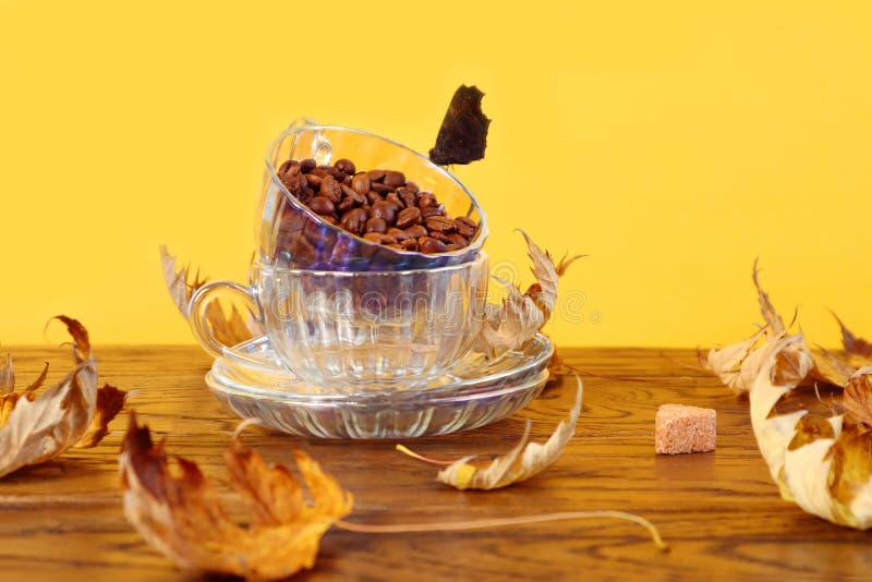 Coffee Beans in Tea Cups Located among Dry Maple Leaves, Silhouette of ...