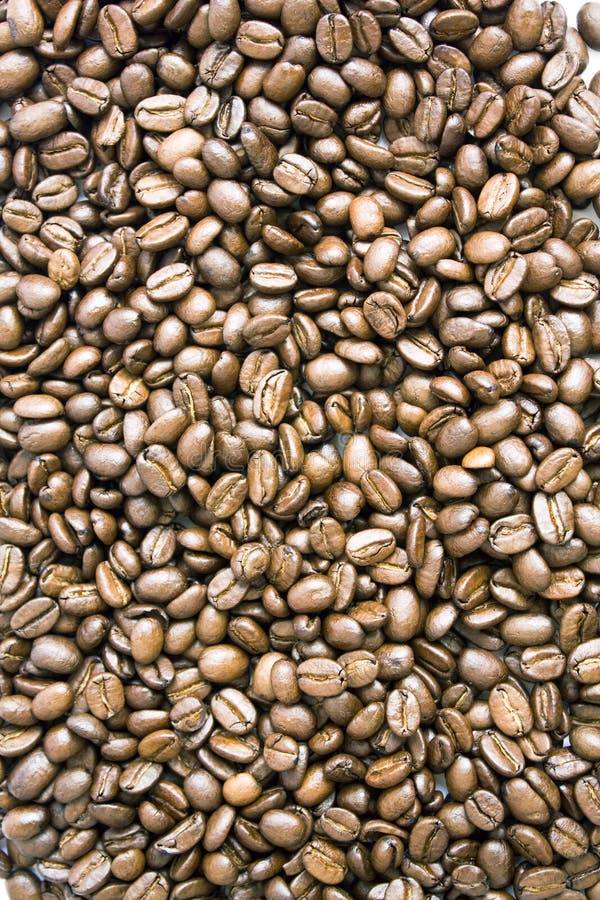 Coffee beans texture stock photo. Image of energy, mocha - 23916810