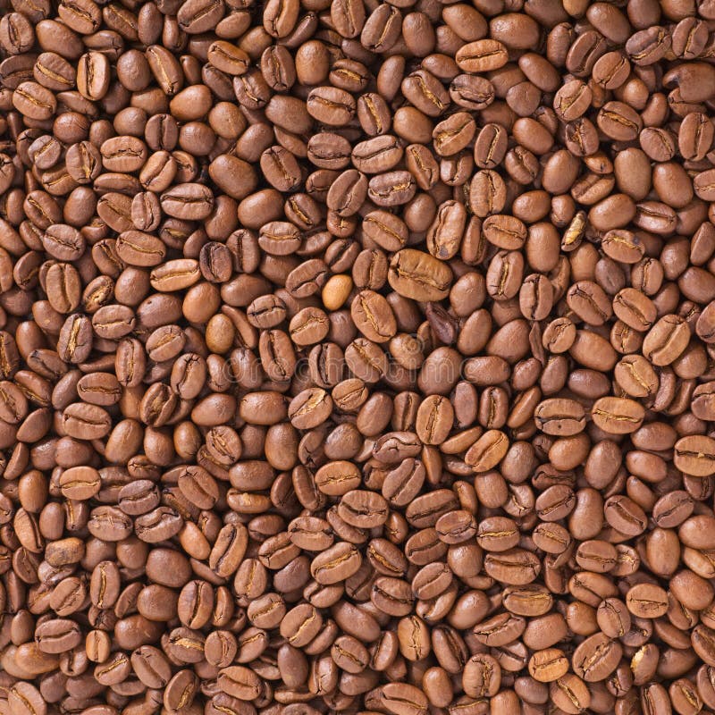 Coffee beans texture stock photo. Image of abstract, grain - 7302930