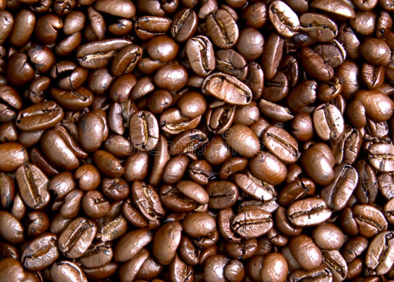 Coffee Beans Texture ai stock illustration. Illustration of dish ...