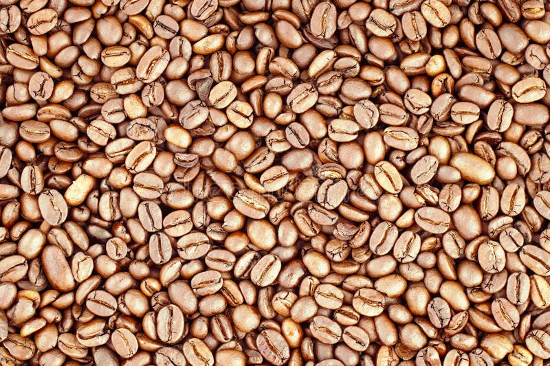 Coffee beans. stock image. Image of details, drinking - 98160901