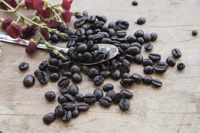 Coffee Beans To Roast Prepare Pulp for Make Coffee Stock Image - Image ...