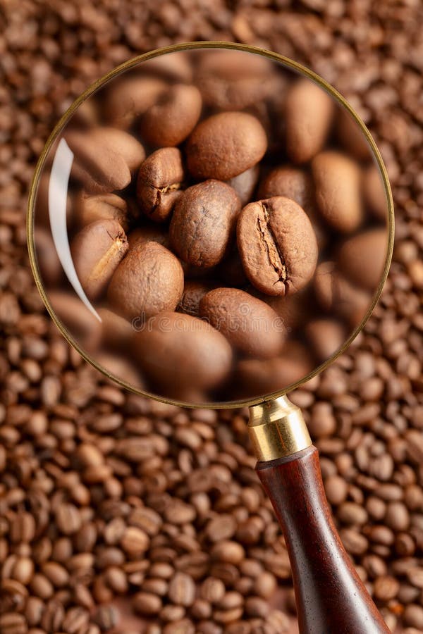 Coffee Beans Under a Magnifying Glass Stock Photo - Image of food ...