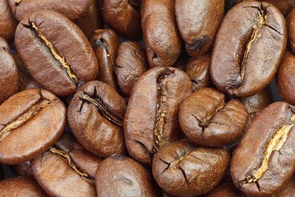 Coffee Beans Under Microscope Stock Image - Image of bean, grain: 97087071