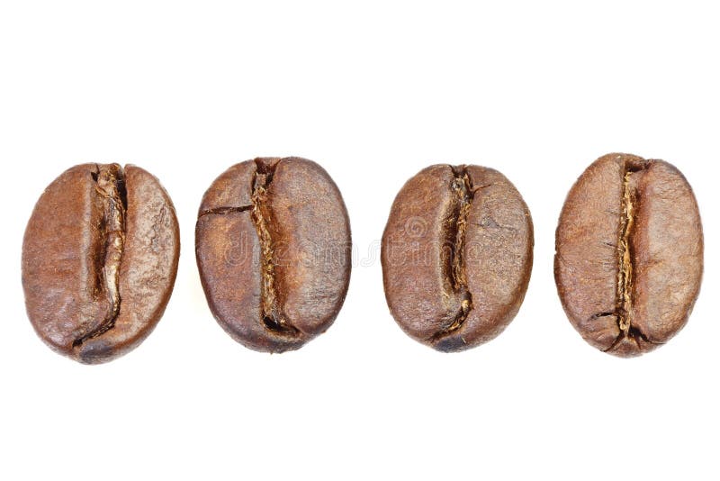 Coffee Beans Under Microscope Stock Image - Image of bean, grain: 97087071