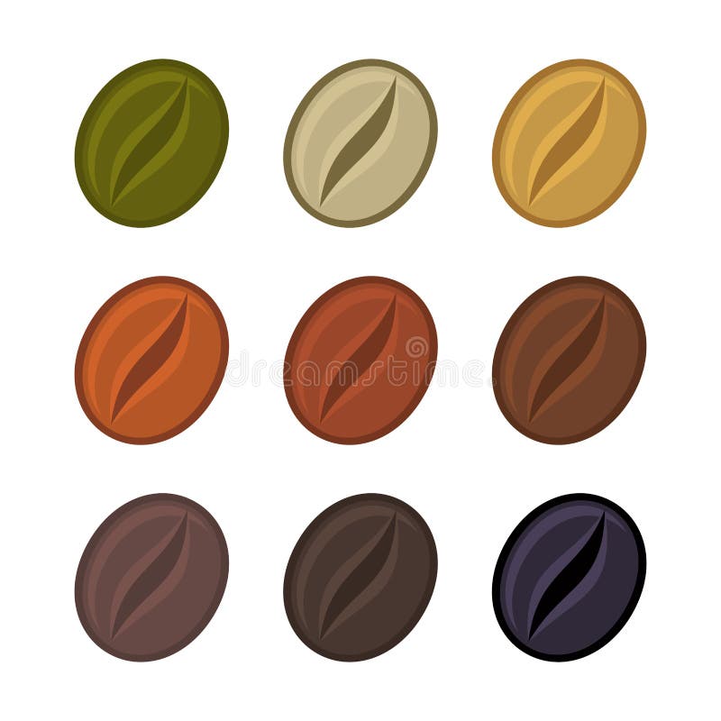 Coffee Beans Various Stages of Roasting Set. Vector Stock Vector ...