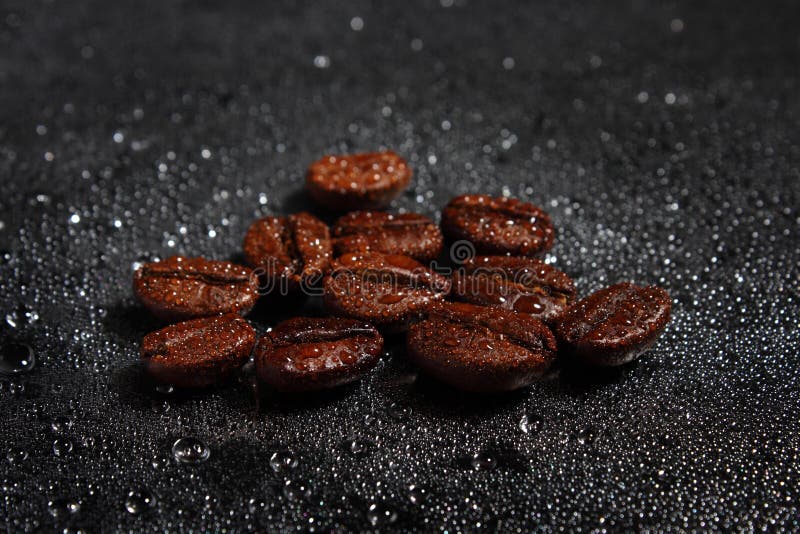 Coffee Beans and Water Drop Stock Image - Image of coffee, flavor: 31735421