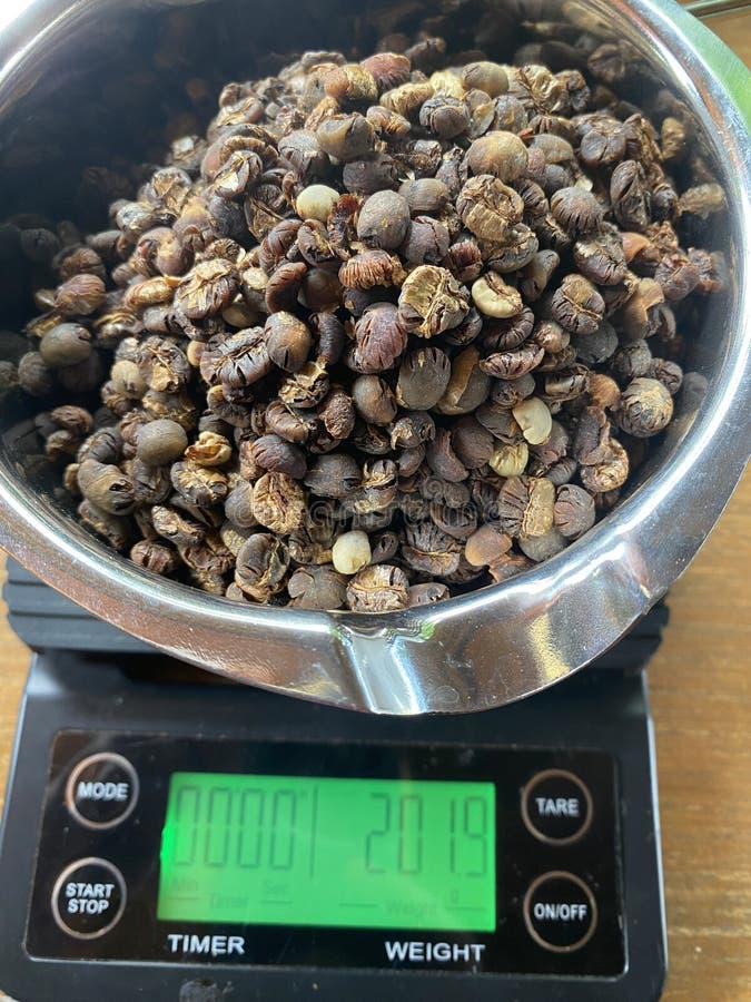 Coffee Beans on Weighing Scale. Selective Focus. Stock Image - Image of ...